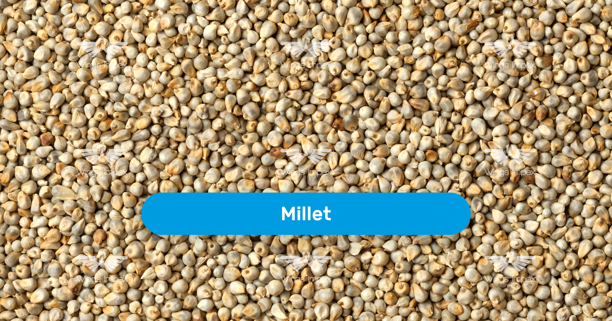 Millet | Wings Impex