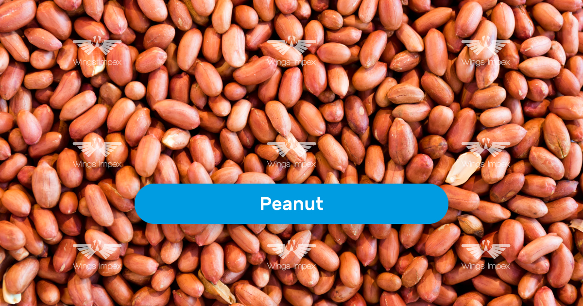 Peanut | Wings Impex